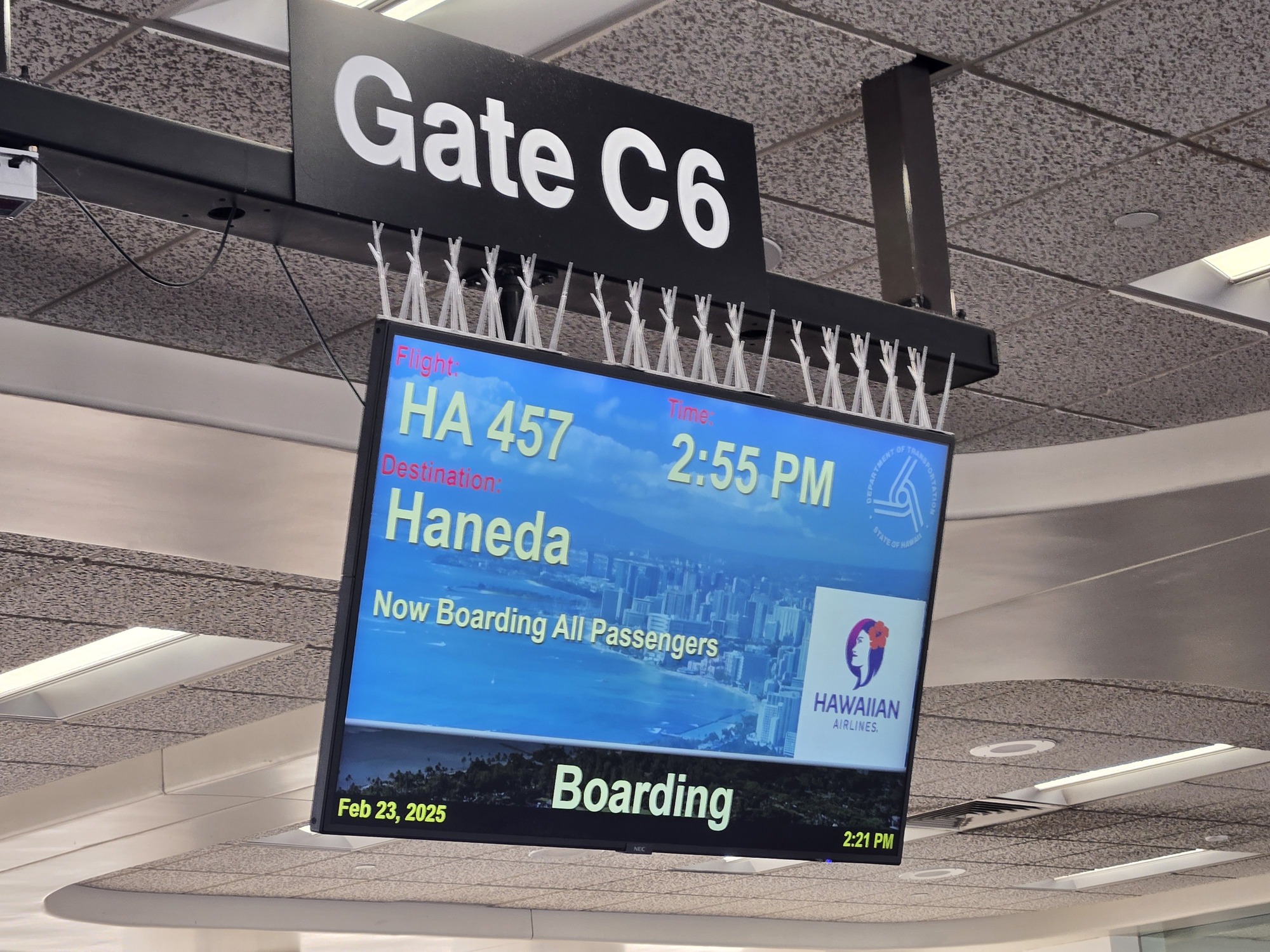 ハワイアン航空のビジネスクラスでホノルル⇒羽田へ（フライト編）｜HNL⇒HA457⇒HND - 酒走（しゅRUN）ブログ