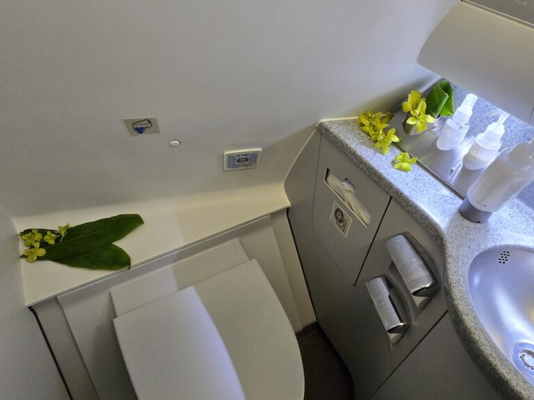 ハワイアン航空のビジネスクラスでホノルル⇒羽田へ（フライト編）｜HNL⇒HA457⇒HND - 酒走（しゅRUN）ブログ