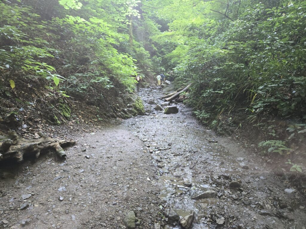 takao-trail-running-6-inari-beginner-03-route-08 - 酒走（しゅRUN）ブログ